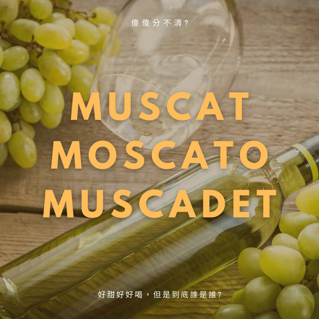 MIT 酒食好味道｜傻傻分不清：Muscat、Moscato、Muscadet 的差異 ？ - Flavor | 風格美食指南